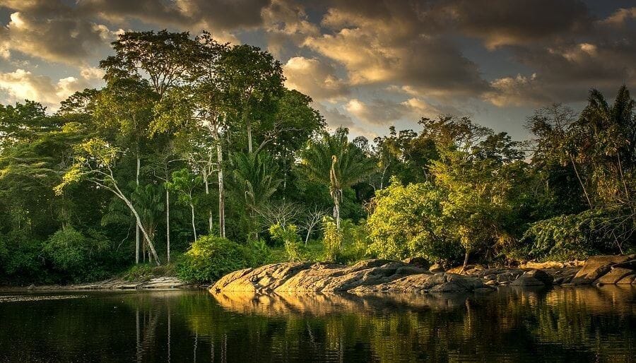 A Pristine Paradise: Suriname’s Untouched Rainforest - Eyes on Suriname